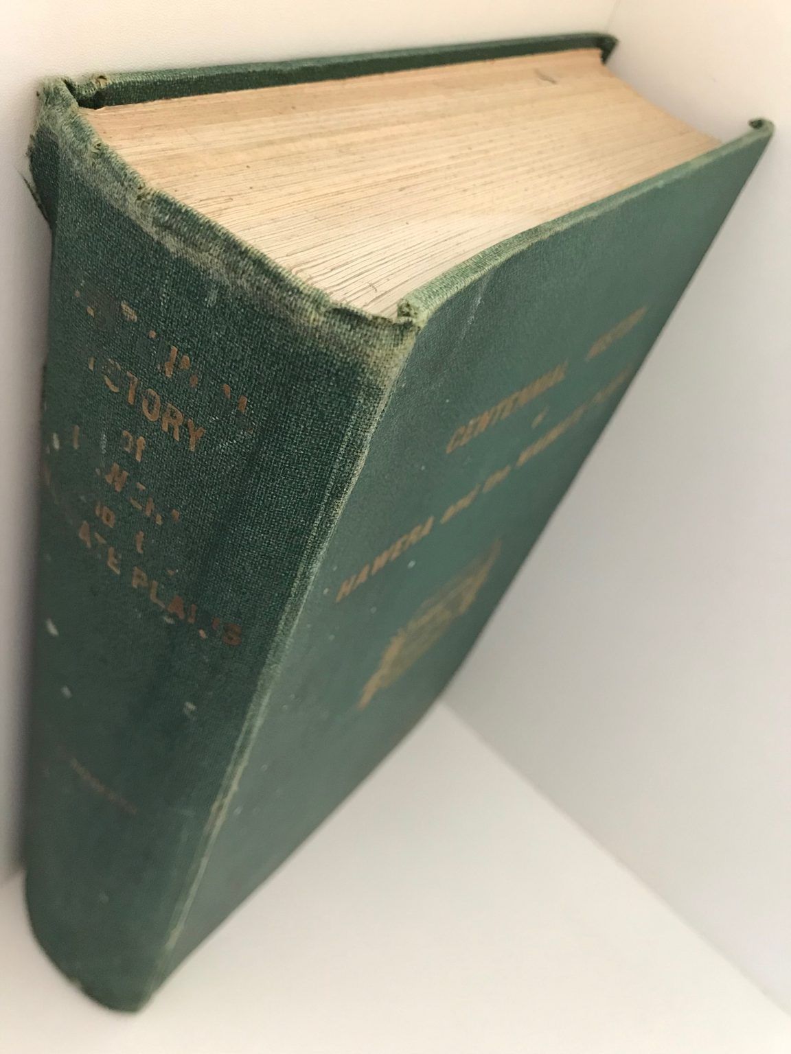 CENTENNIAL HISTORY of HAWERA and the WAIMATE PLAINS