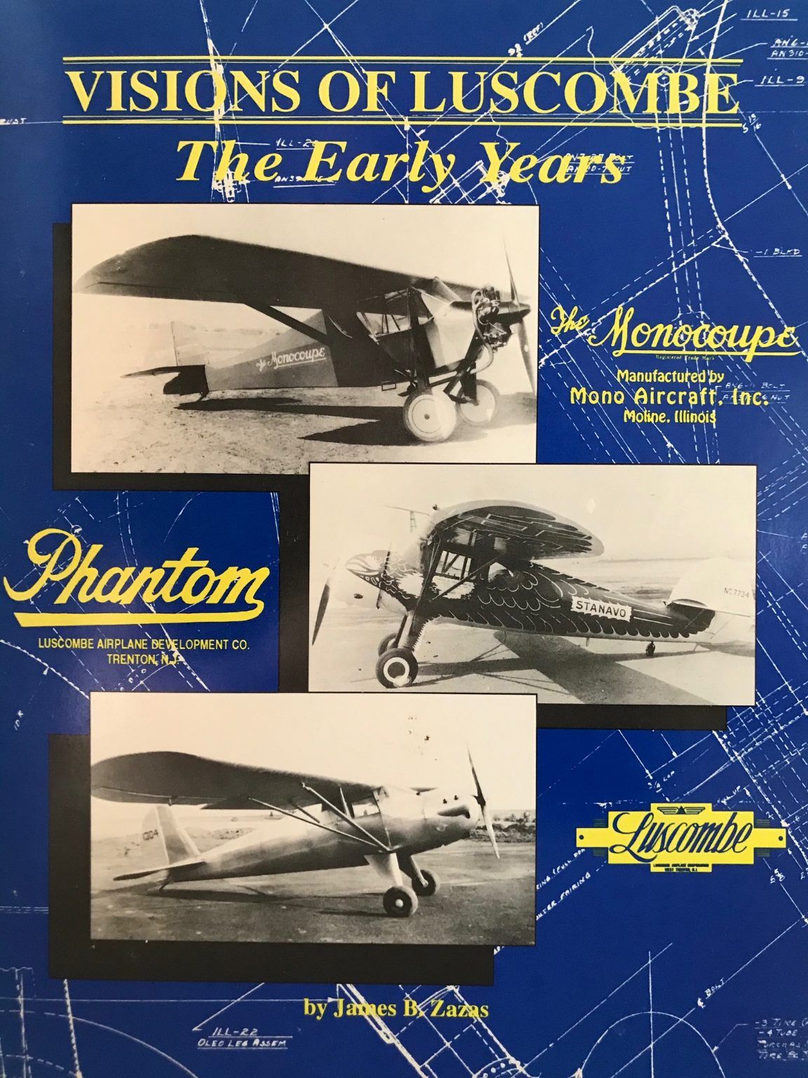 VISIONS OF LUSCOMBE: The Early Years