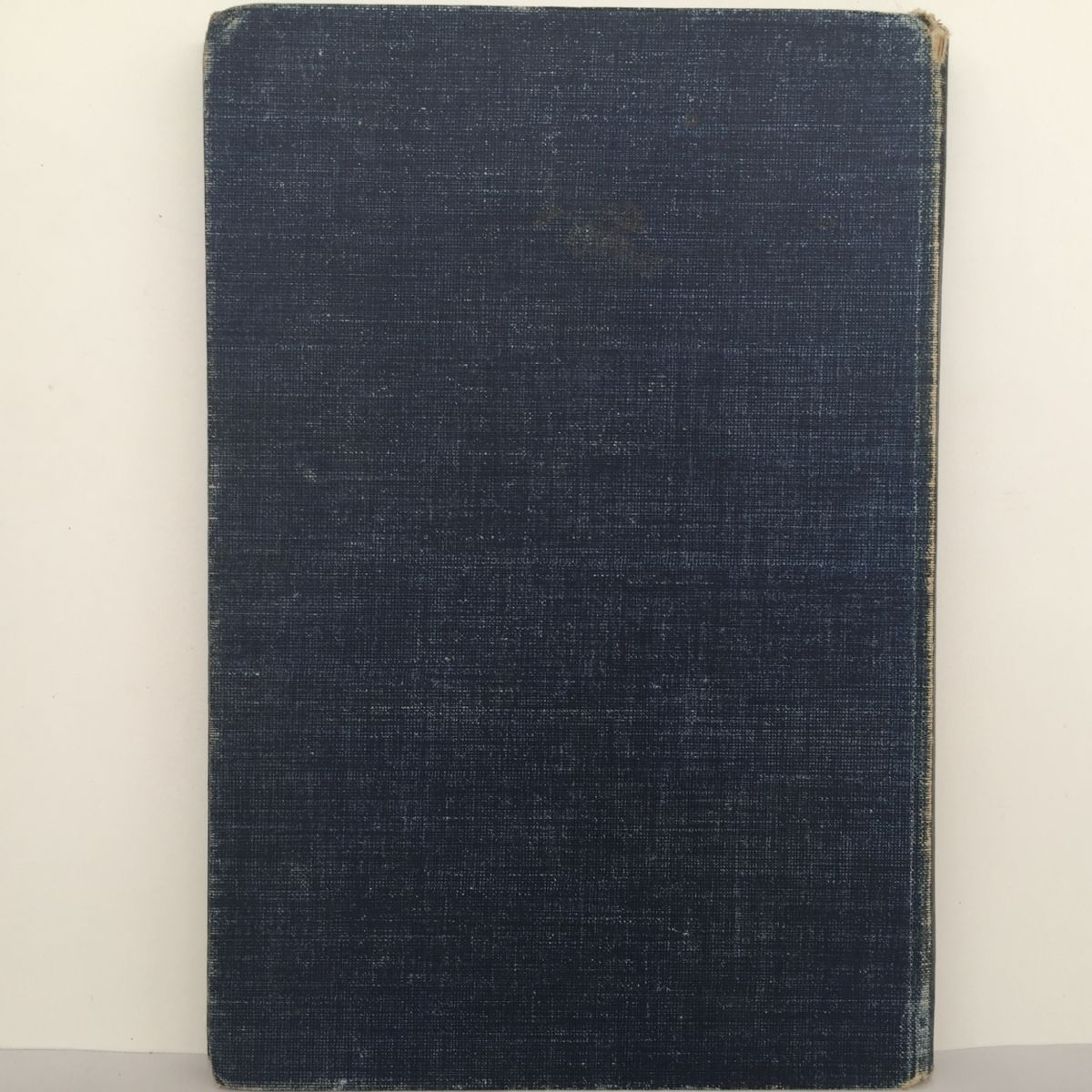 Not Understood And Other Poems