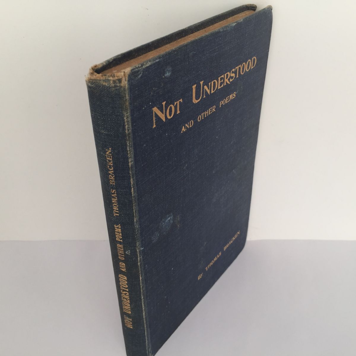 Not Understood And Other Poems