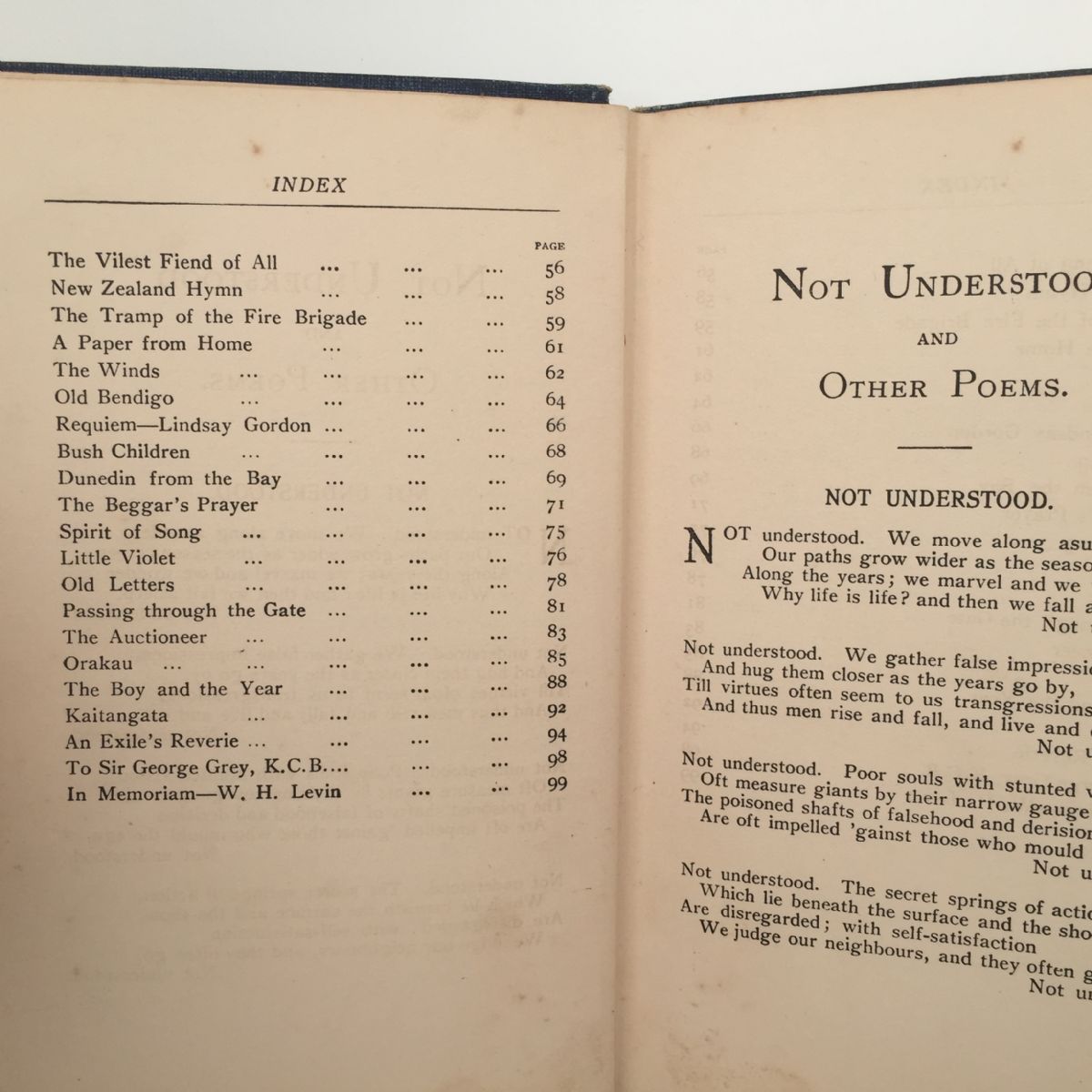 Not Understood And Other Poems