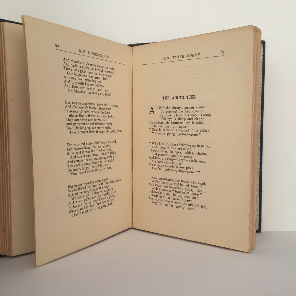 Not Understood And Other Poems