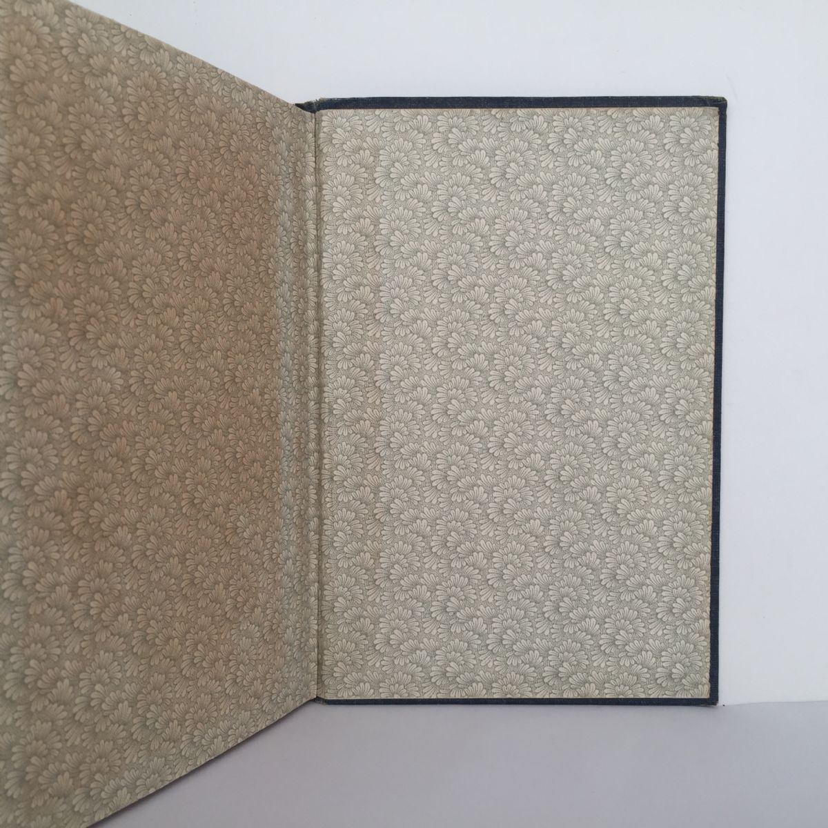 Not Understood And Other Poems