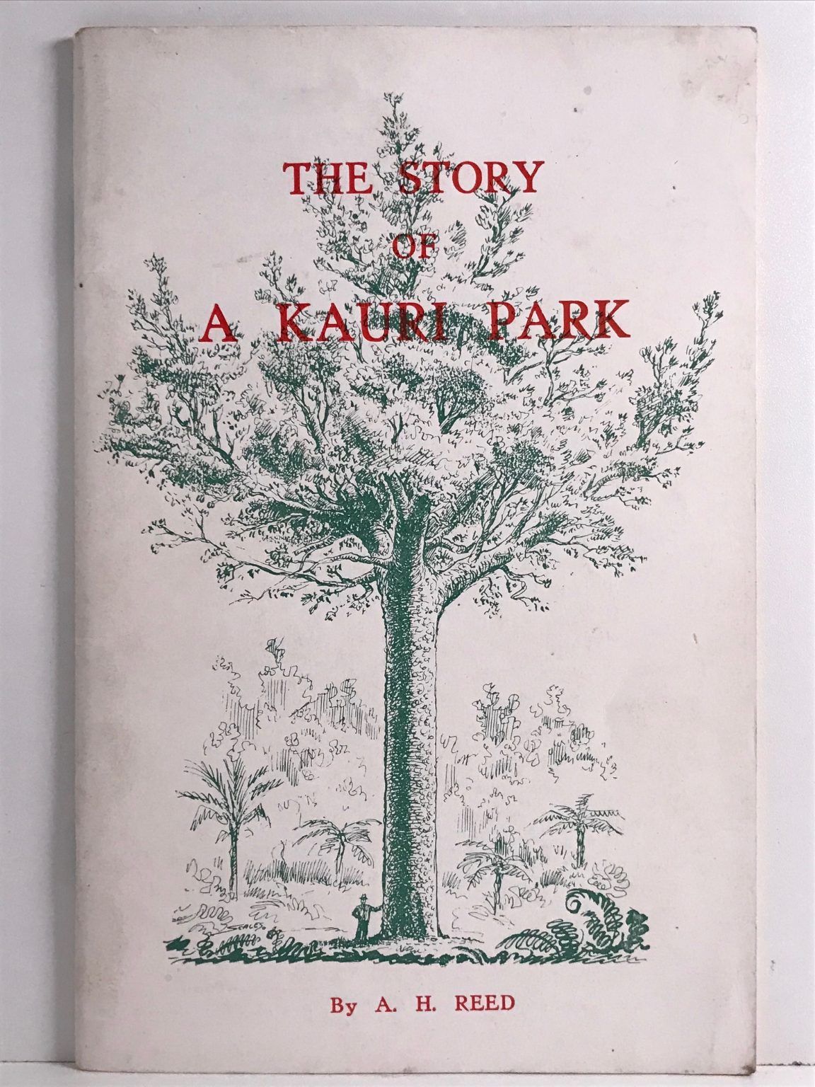 THE STORY OF A KAURI PARK