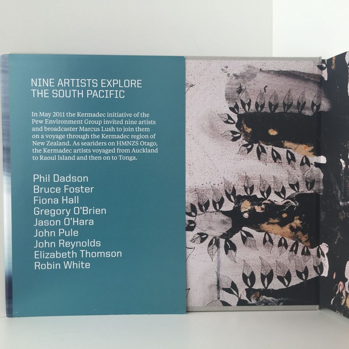 Kermadec : Nine Artists Explore the South Pacific