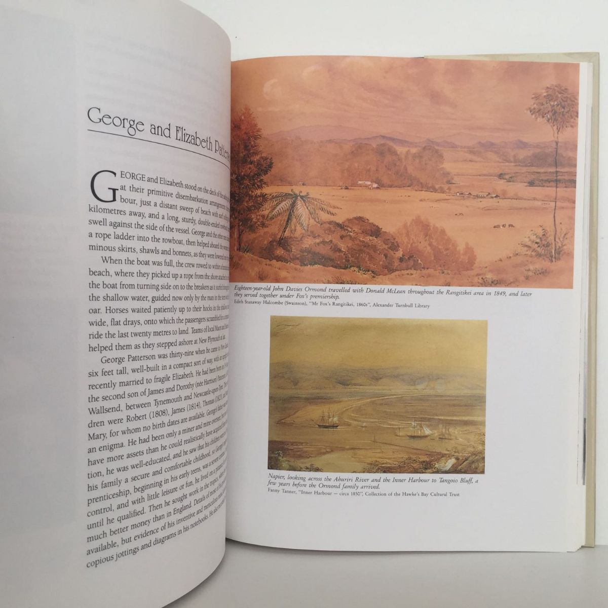 PIONEER FAMILIES: The Settlers of 19th Century New Zealand