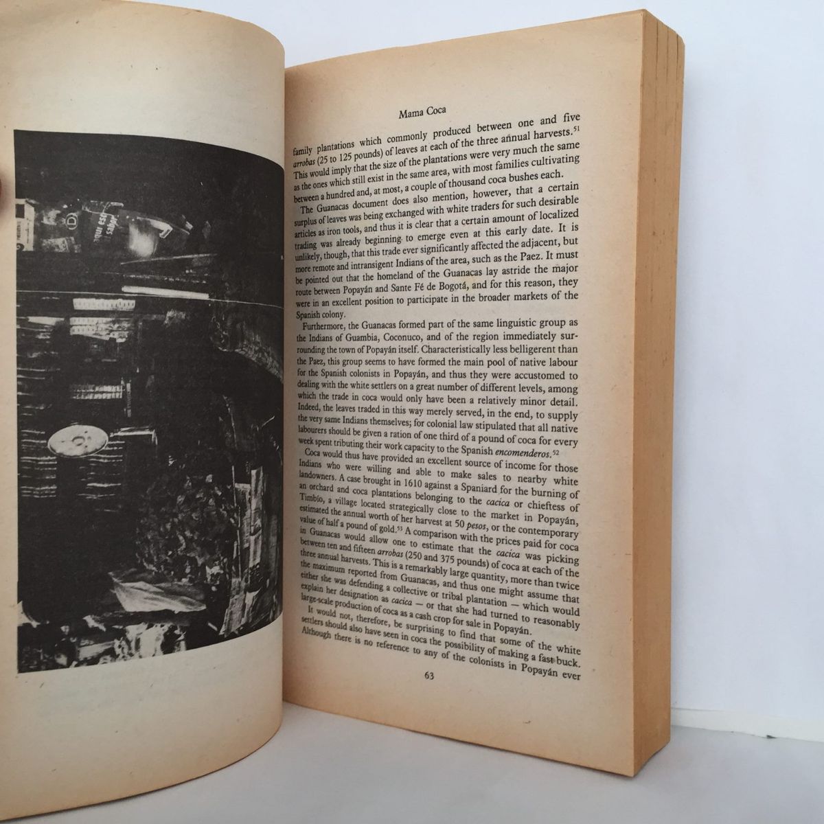 MAMA COCA: Historical/Cultural Study of Coca In The Andes