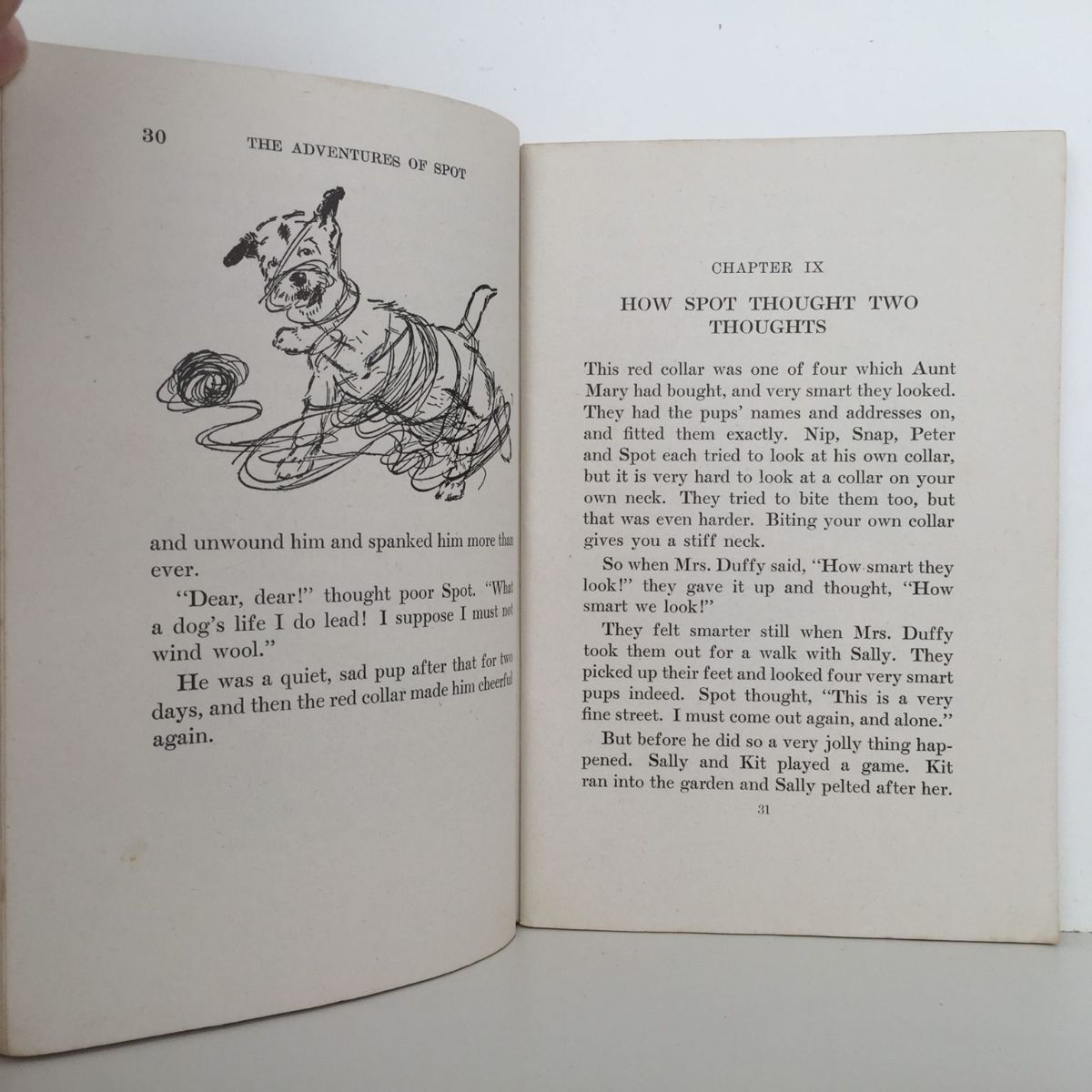 The Adventures of Spot