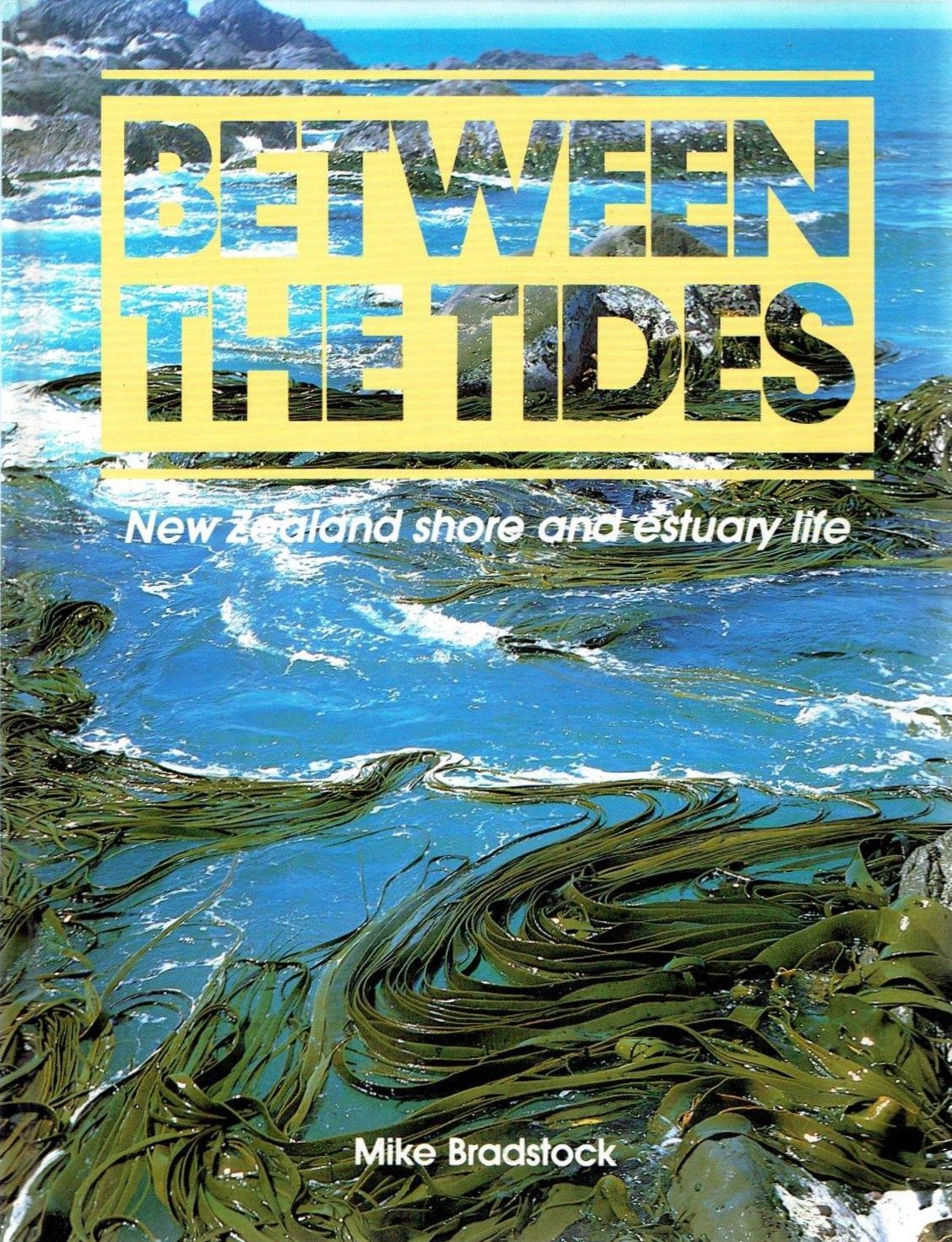 BETWEEN THE TIDES: New Zealand shore and estuary life