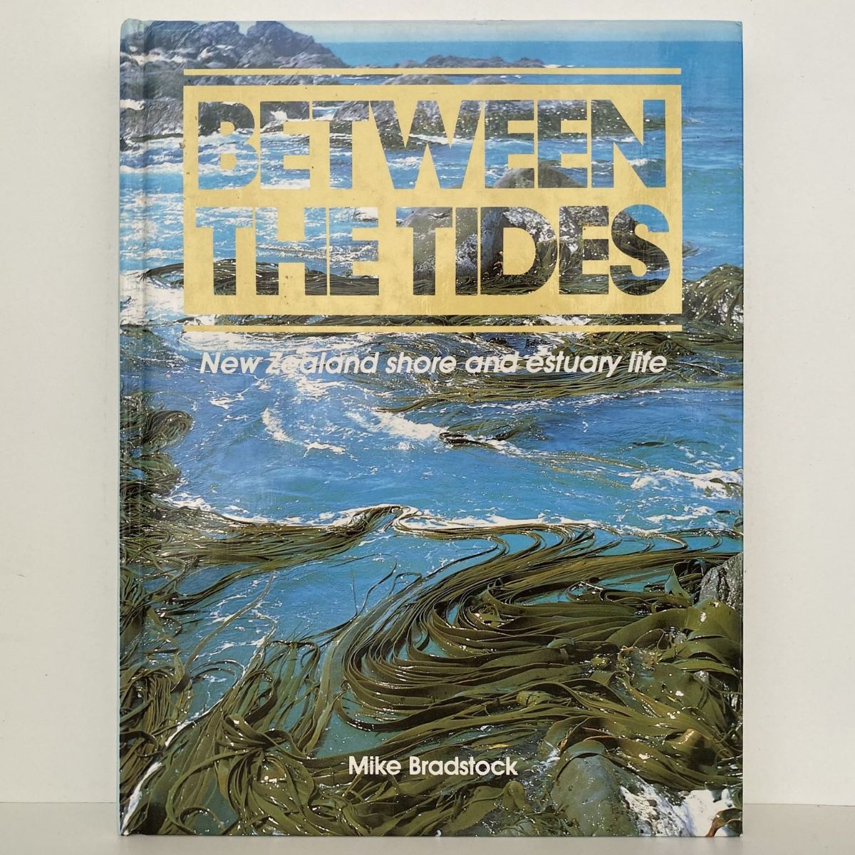 BETWEEN THE TIDES: New Zealand shore and estuary life
