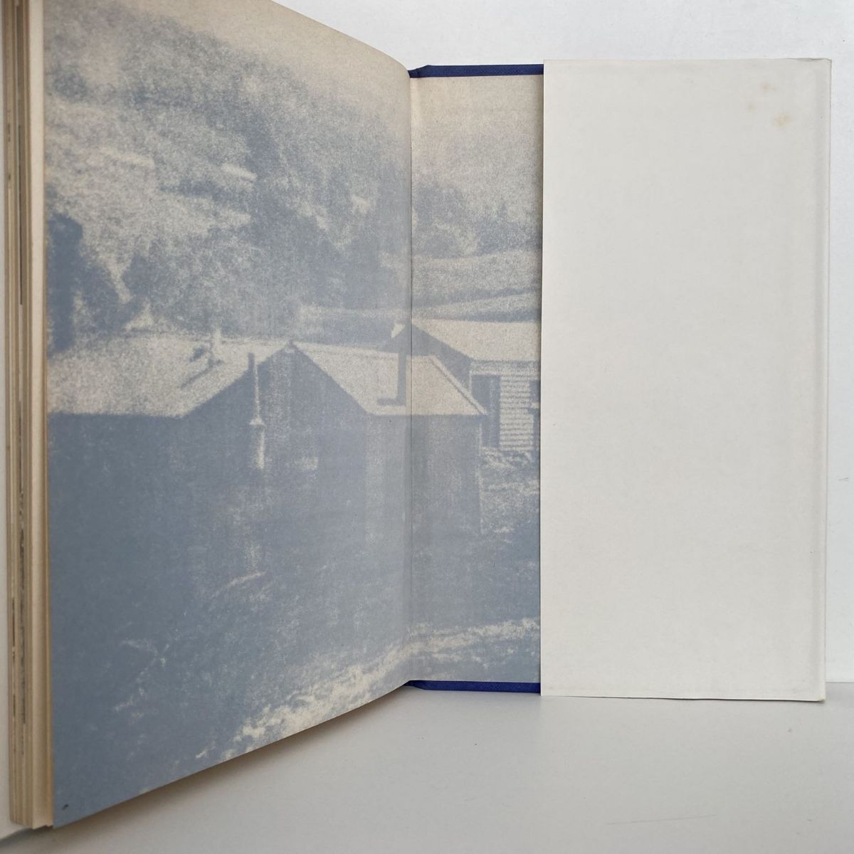 MILL in the VALLEY: A Centennial History Of Arthur Ellis & Co Ltd