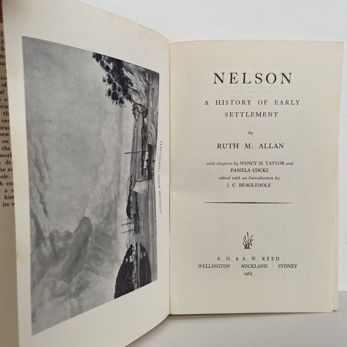 NELSON: A History of Early Settlement