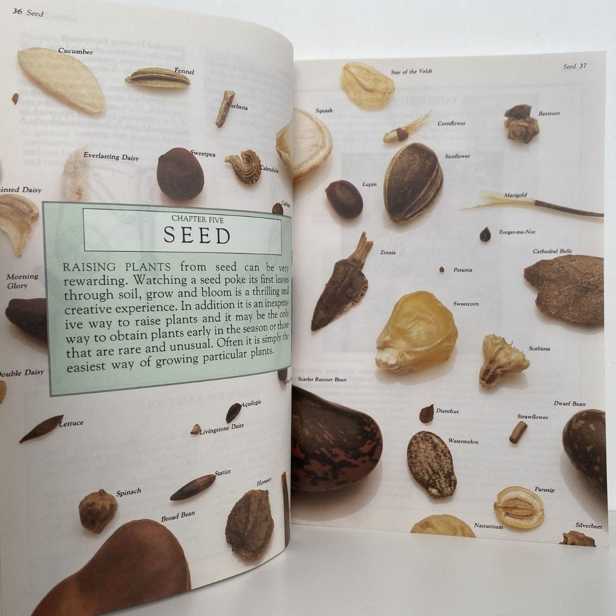 YATES GARDEN GUIDE : Centennial Edition 1895 - 1995