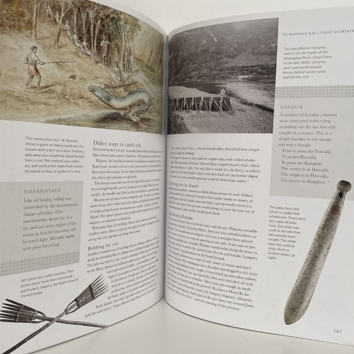 TE TAIAO MAORI and the Natural World