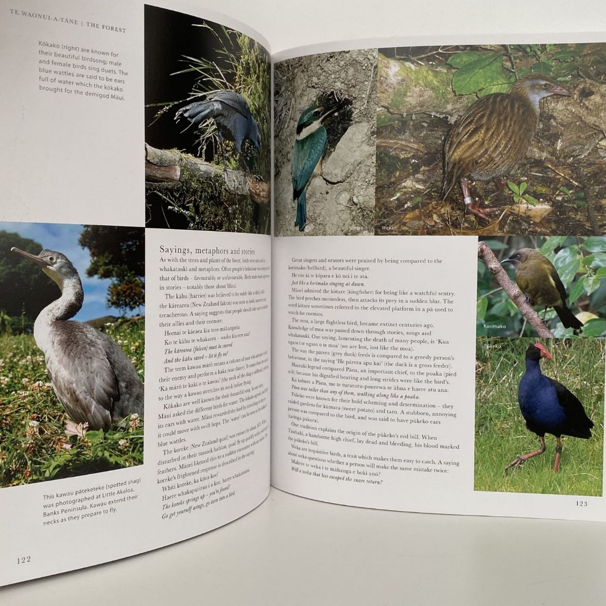 TE TAIAO MAORI and the Natural World