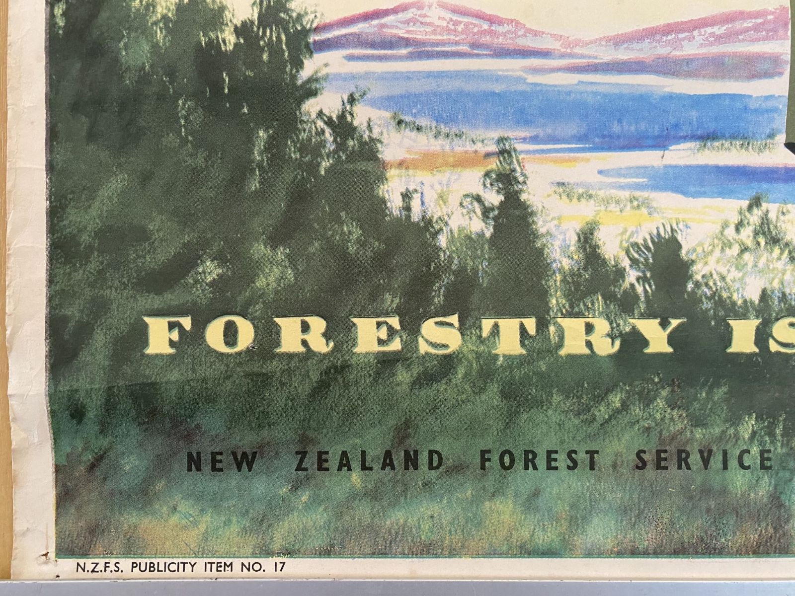 VINTAGE POSTER: New Zealand Forest Service / Stop Forest Fires