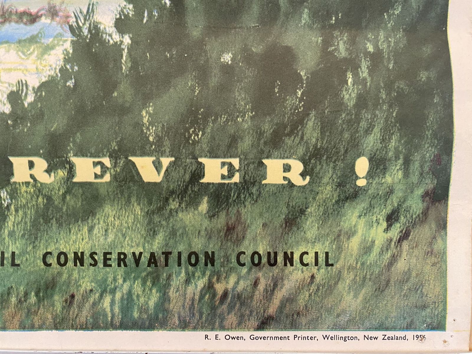 VINTAGE POSTER: New Zealand Forest Service / Stop Forest Fires