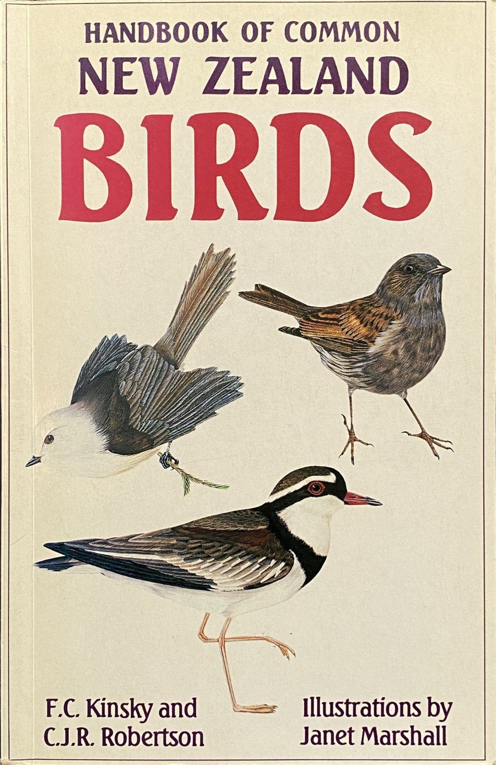 Birds & Insects